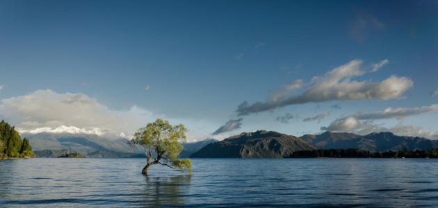Dr. Richard Miles - Clínica Frederico Viana